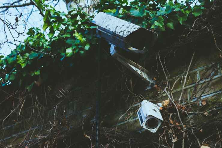 The Best Security Measures To Protect Your Homestead – The Homestead Kings