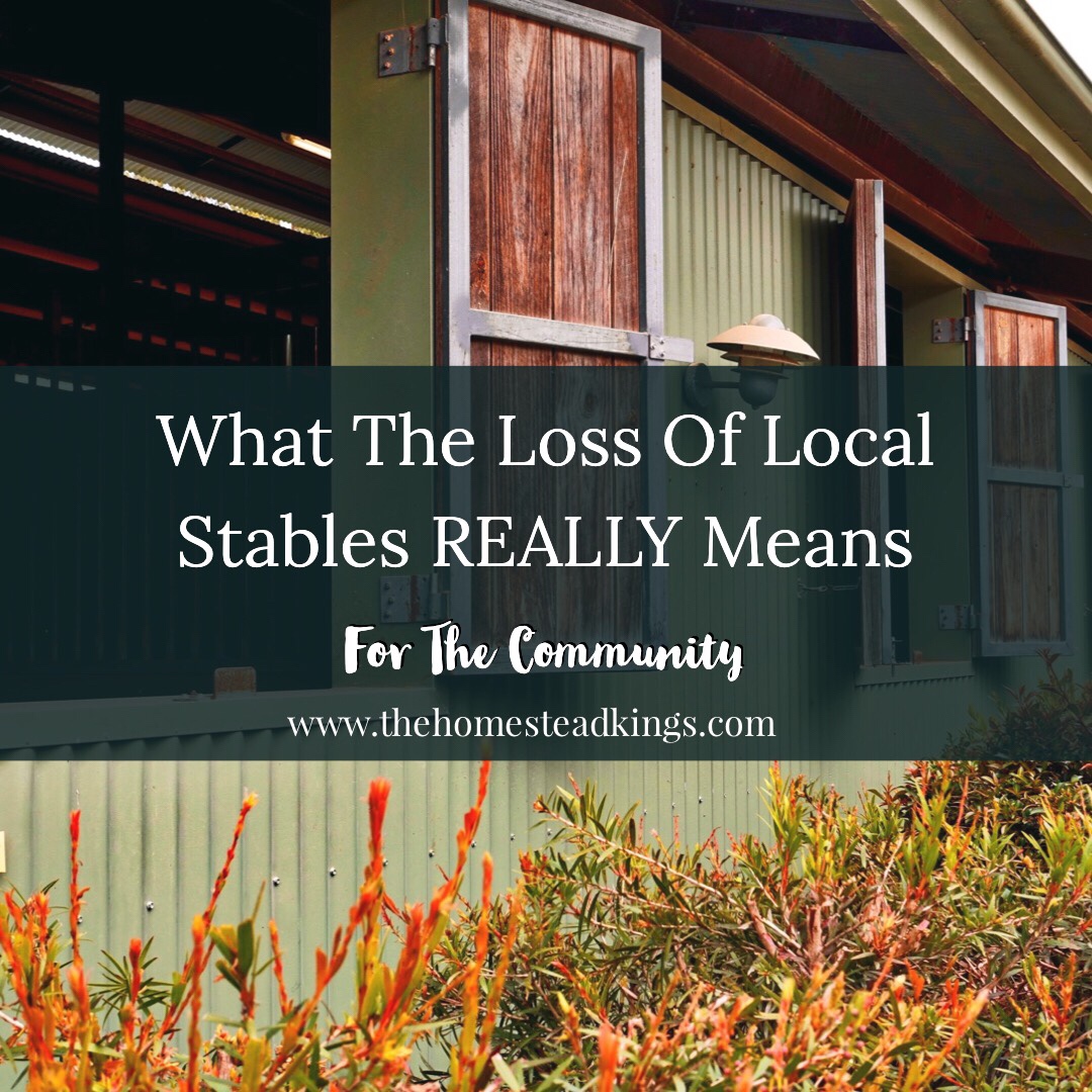What The Loss Of Local Stables REALLY Means For The Community – The ...